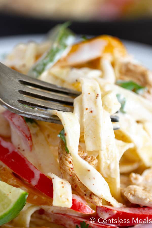 Fajita Pasta {Perfect One Pot Meal} - The Shortcut Kitchen