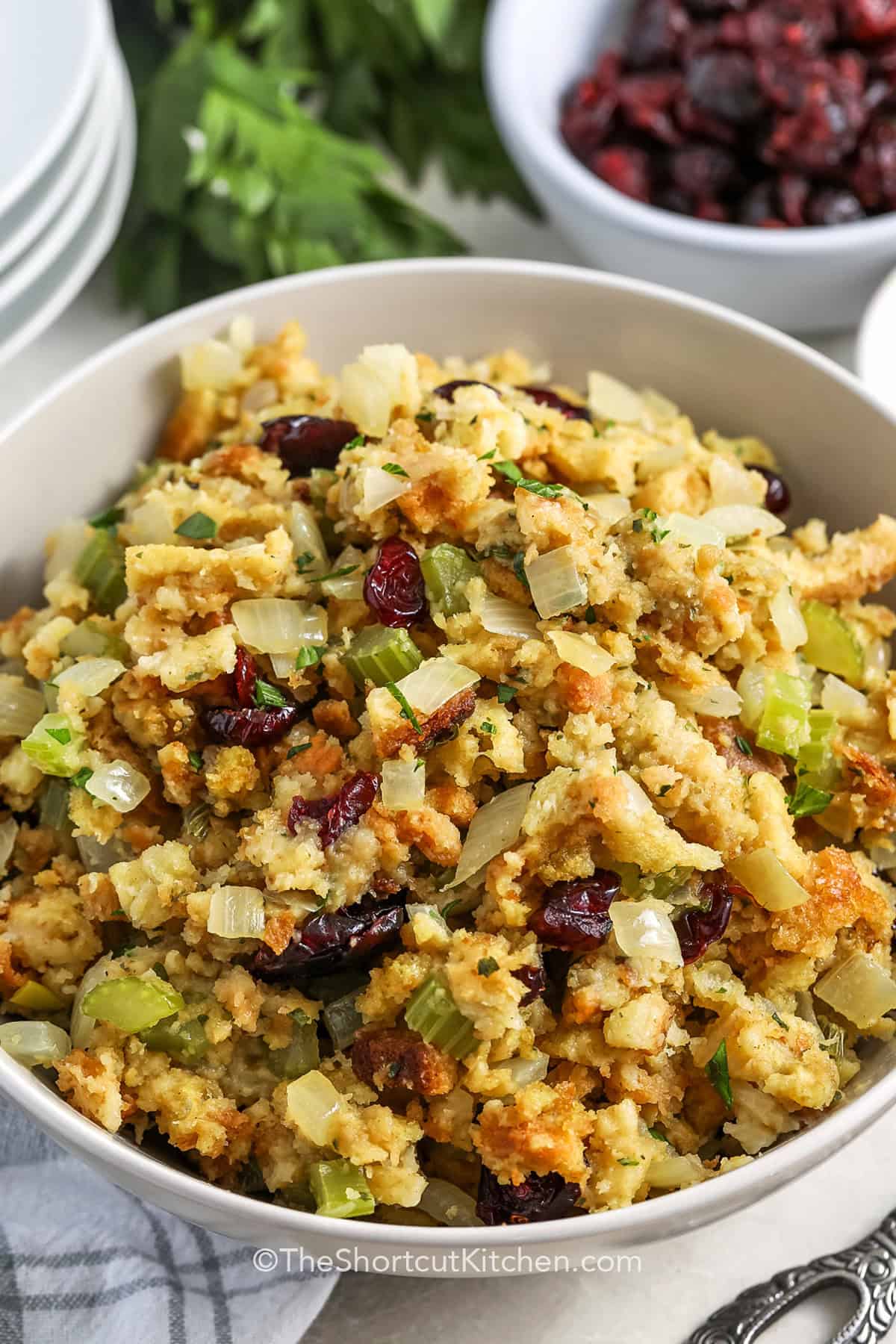 Thanksgiving Stuffing Recipe